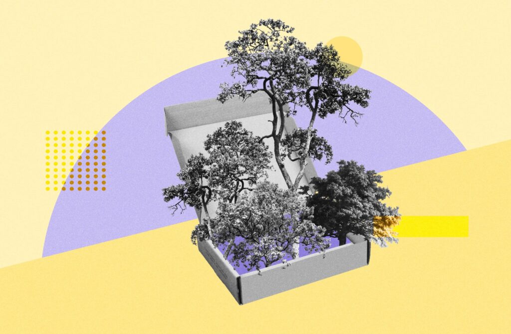 What is the Environmental Impact of Sustainable Packaging | Pakfactory Blog