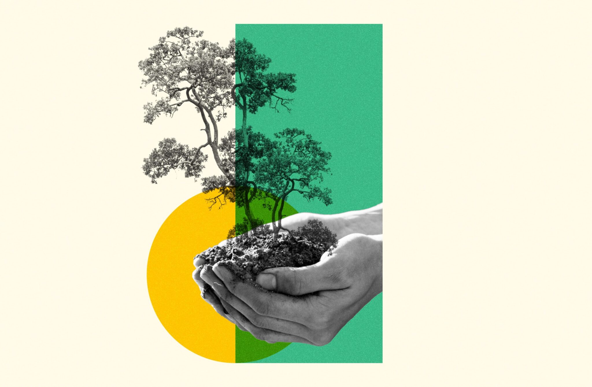 How to Minimize Packaging Waste Through Sustainable Packaging ...