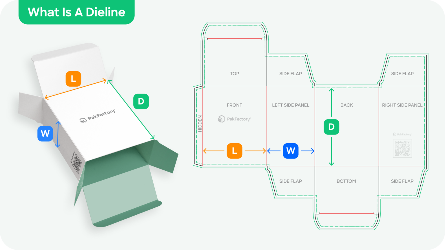 What is a Dieline in Packaging & Print? | Pakfactory Blog
