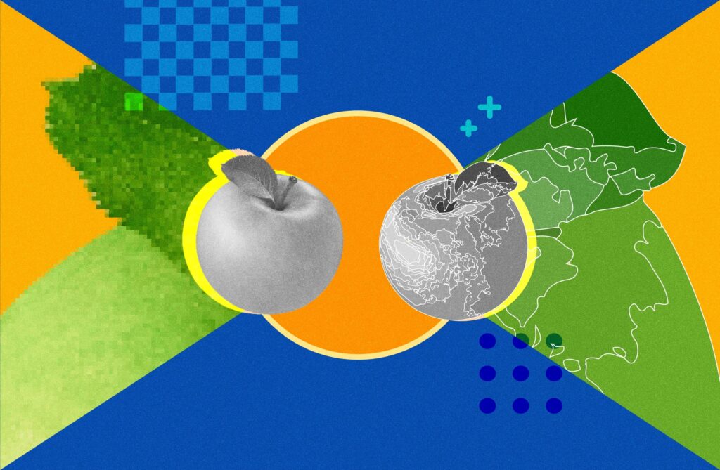 Raster vs Vector: Which to Use for Packaging? | Pakfactory Blog