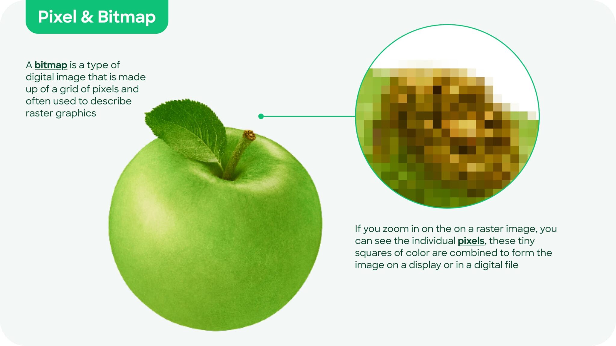 Raster vs Vector: Which to Use for Packaging? | Pakfactory Blog