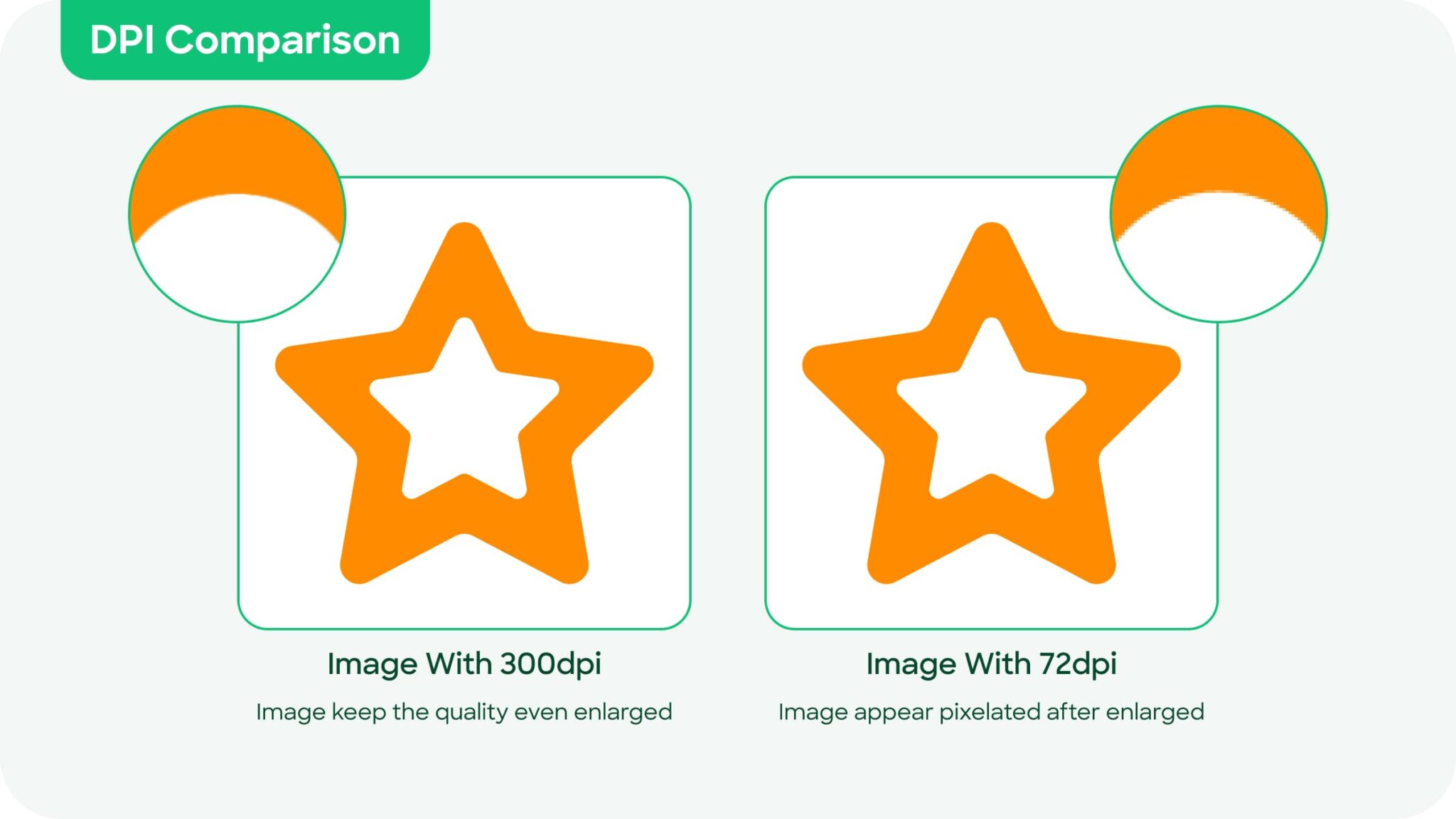 Raster vs Vector: Which to Use for Packaging? | Pakfactory Blog