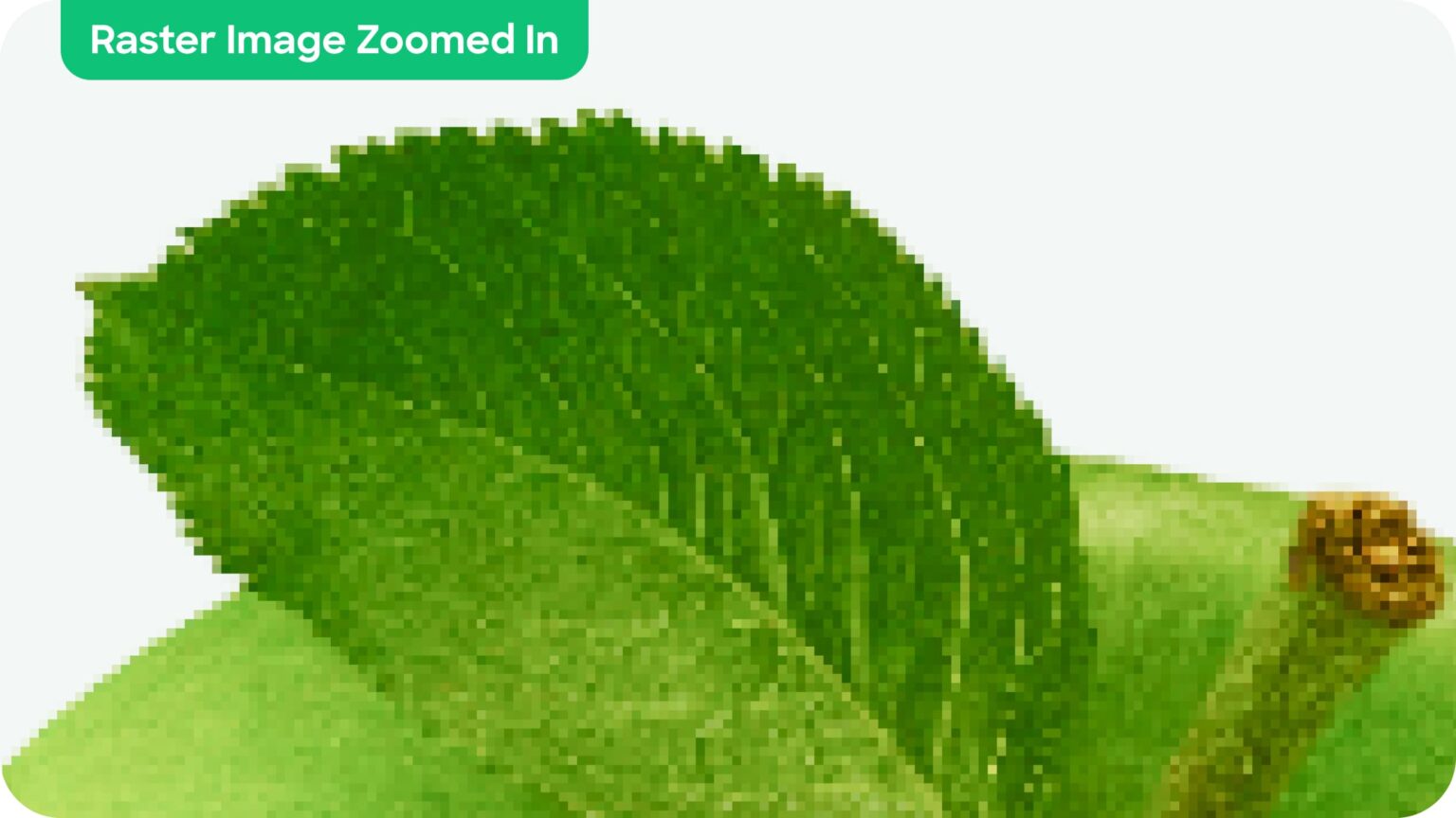 Raster vs Vector: Which to Use for Packaging? | Pakfactory Blog