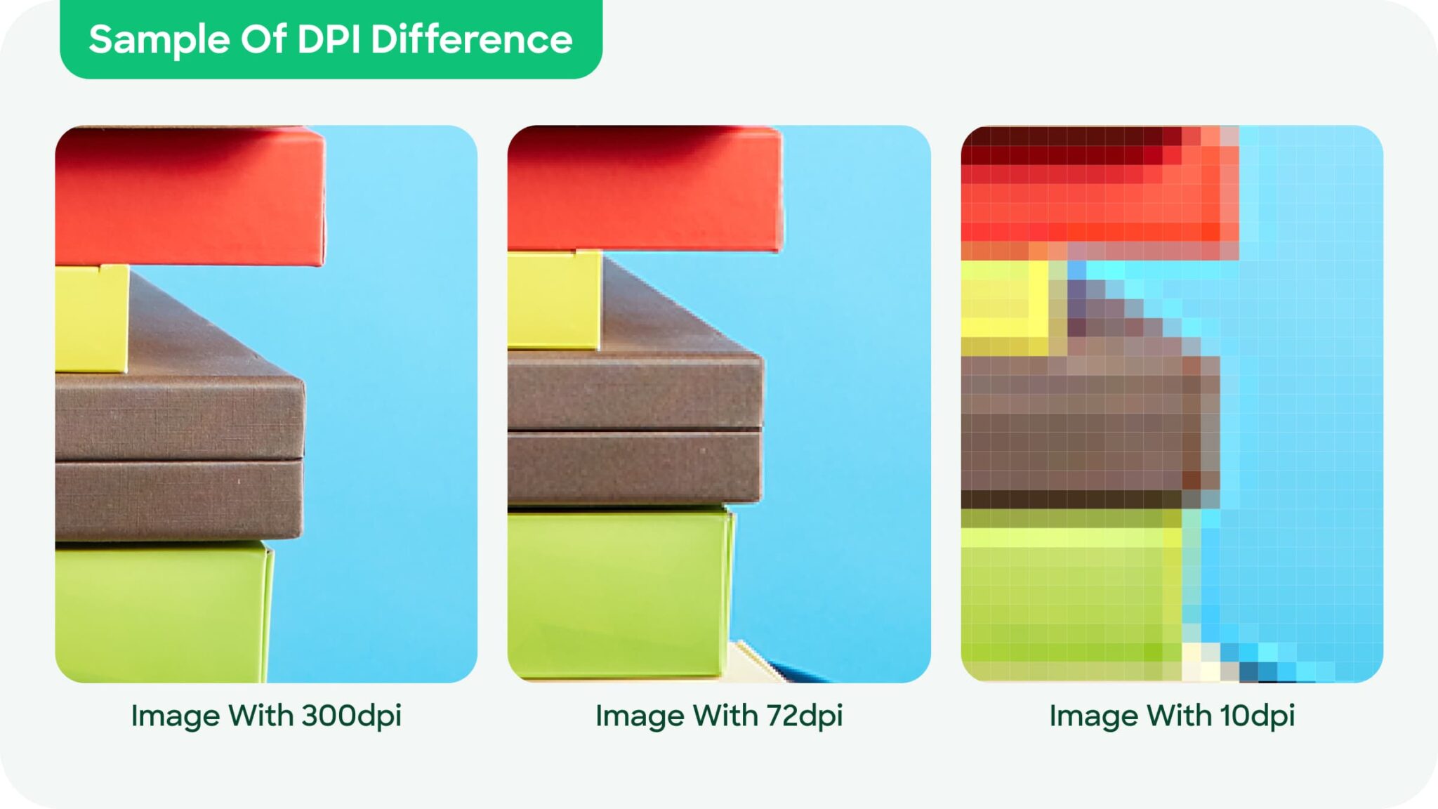 Raster vs Vector: Which to Use for Packaging? | Pakfactory Blog